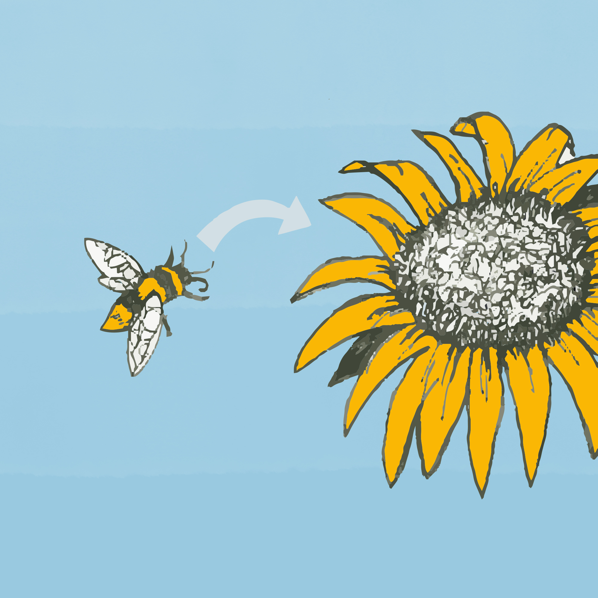 What is pollination? – a resource for kids | Eden Project