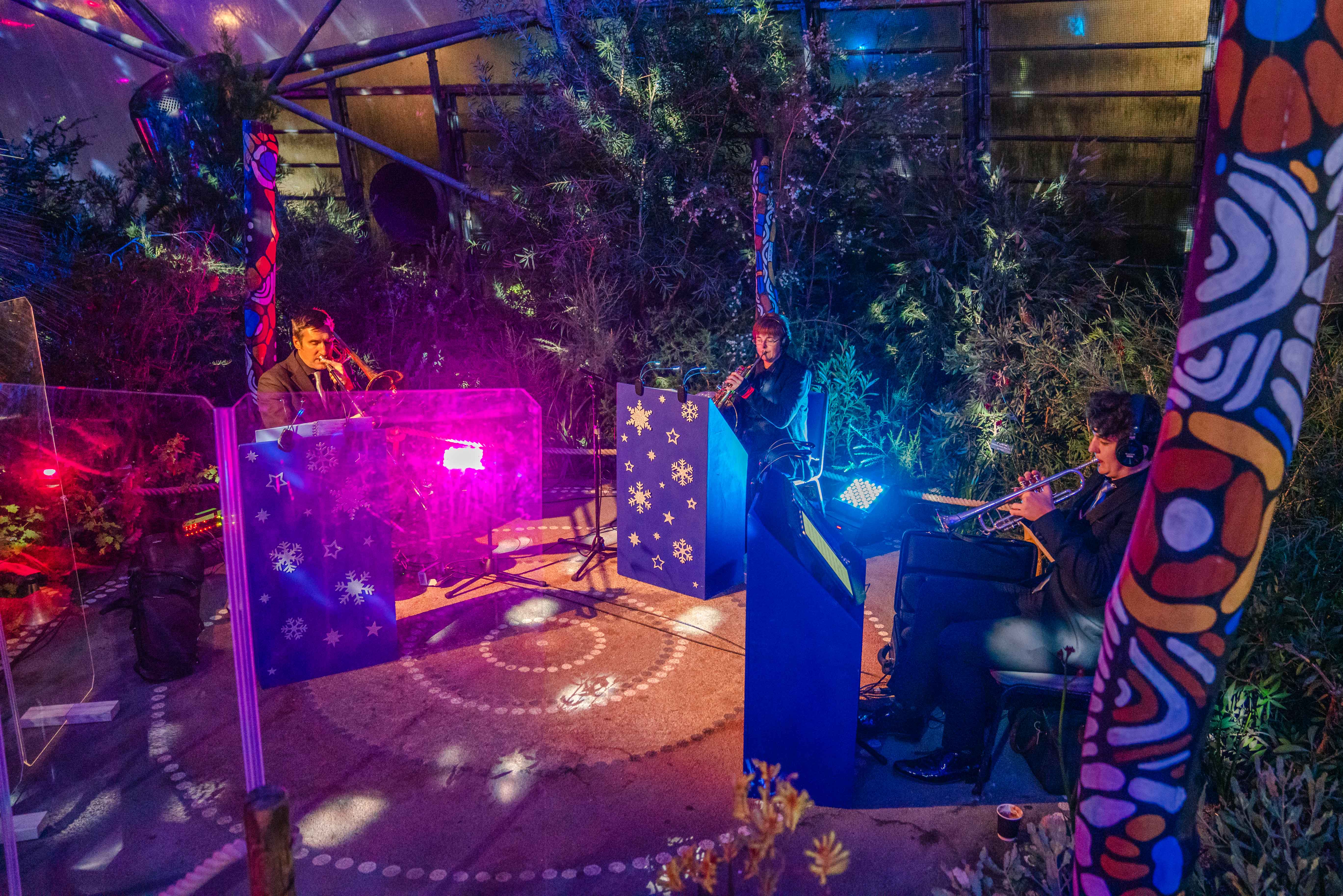 Four stages are set for musical magic at Eden this Christmas | Eden Project