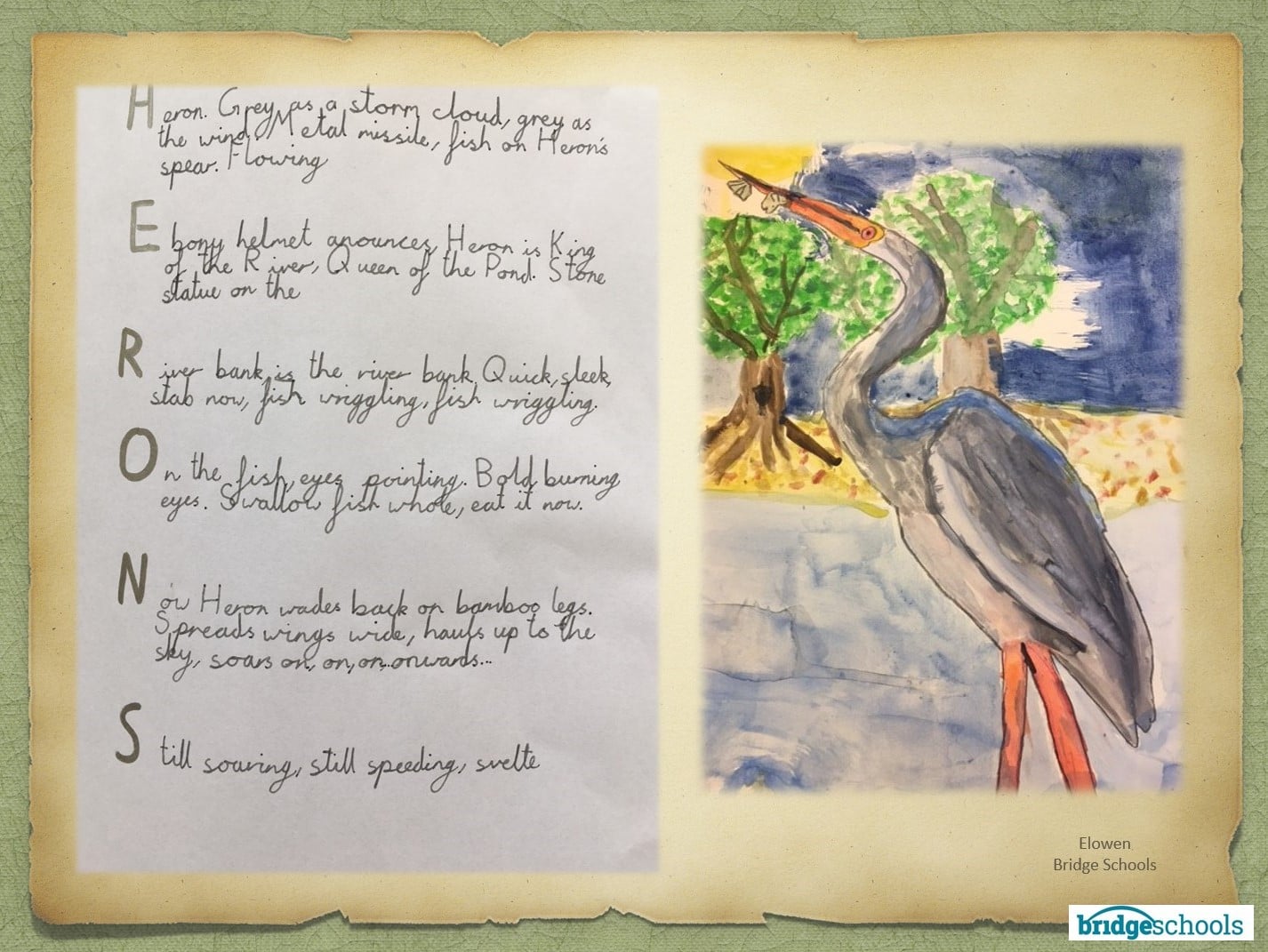 Lesson plan: Found Words | Eden Project