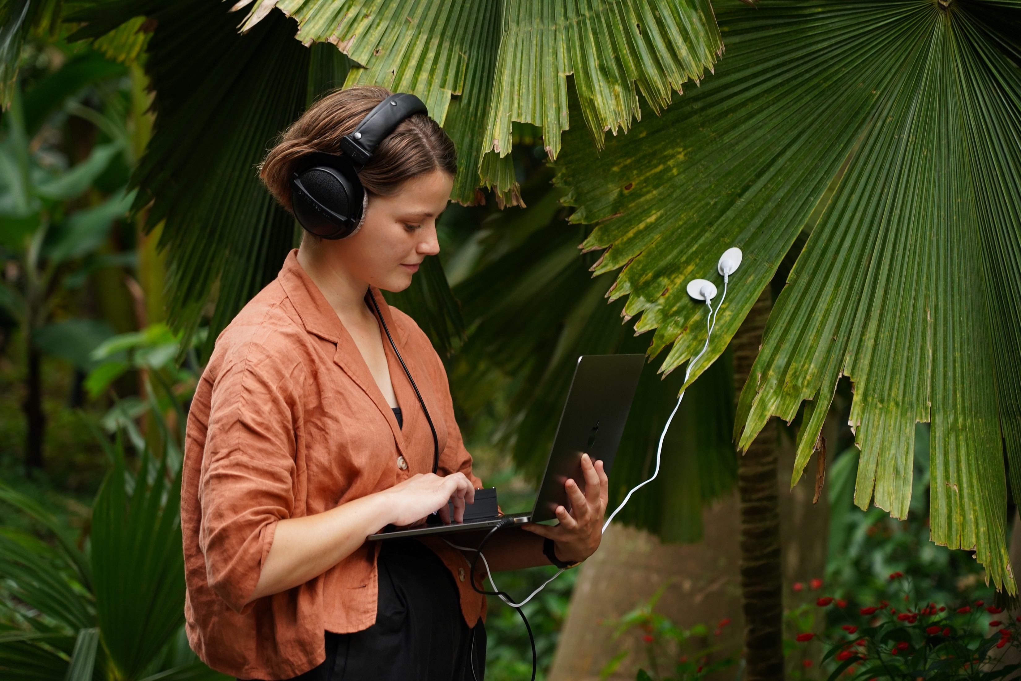 A Musician captures the sounds of Eden’s Rainforest plants for ...
