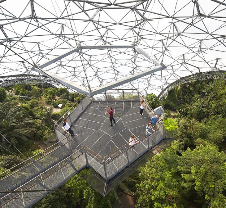 Rainforest Biome | Eden Project