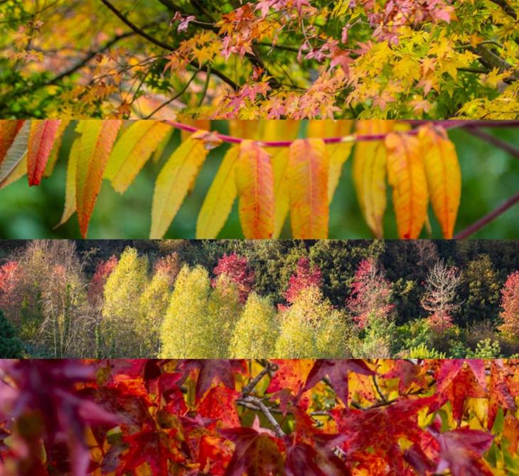 6 tips for getting outdoors this autumn | Eden Project