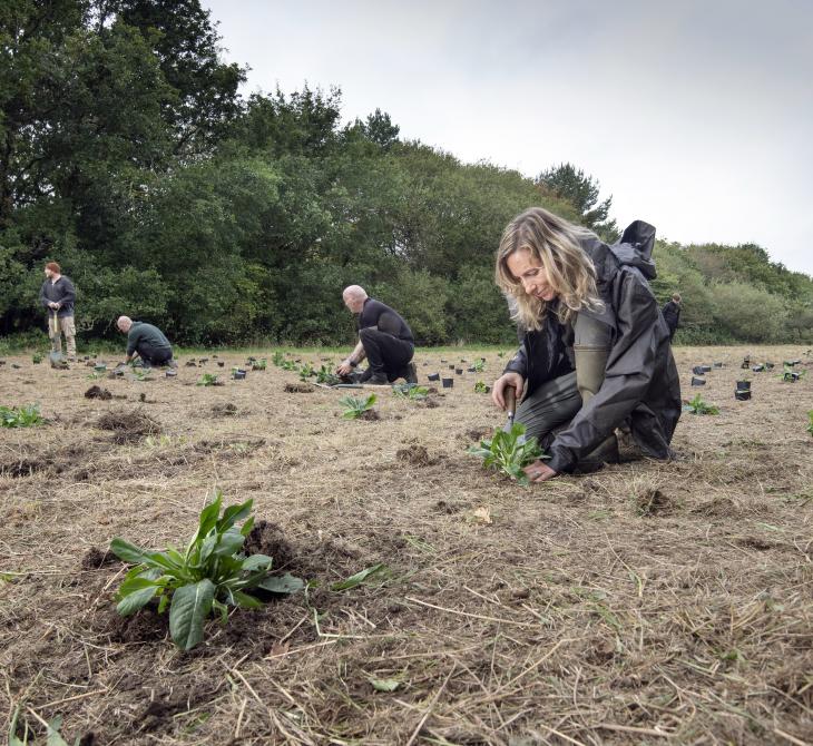 Biodiversity Net Gain: information for buyers of BNG units | Eden Project