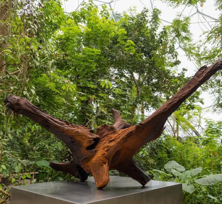 Art guide and map | Eden Project