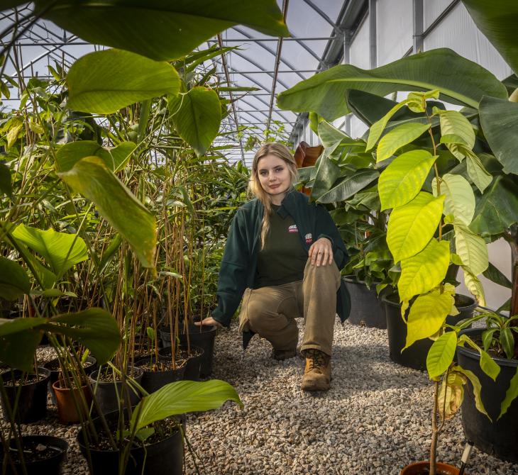 Growing Point plant nursery | Eden Project