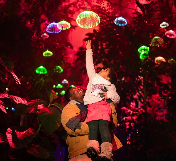 Christmas at the Eden Project | Eden Project