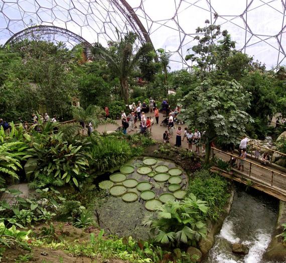 Our origins | Eden Project