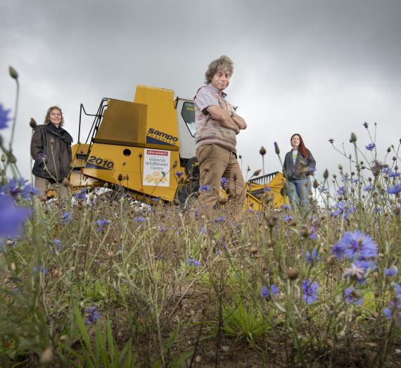 Growing Point plant nursery | Eden Project