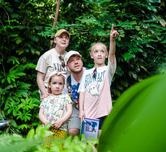 Guided tours | Eden Project