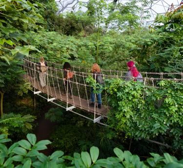 Guided tours | Eden Project