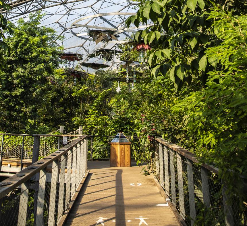Visit us this spring | Eden Project