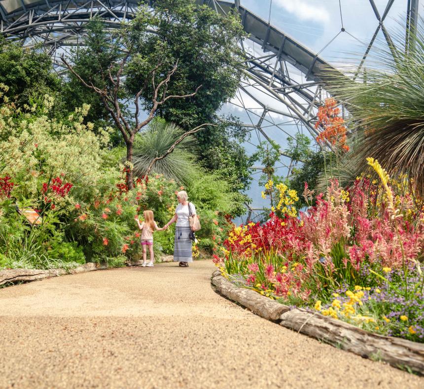 Visit us this spring | Eden Project
