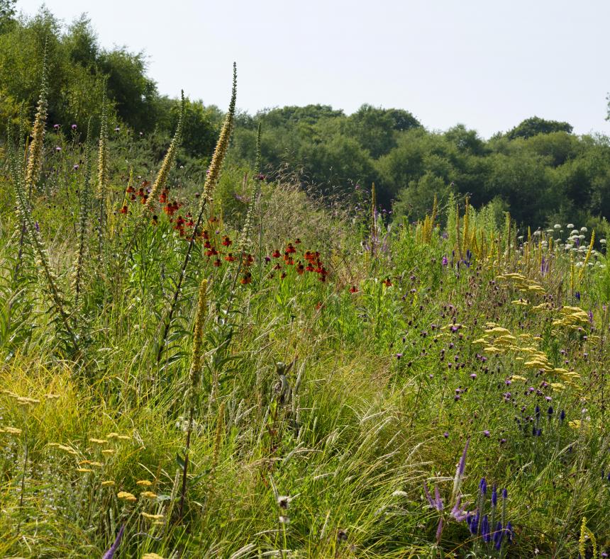 Art guide and map | Eden Project
