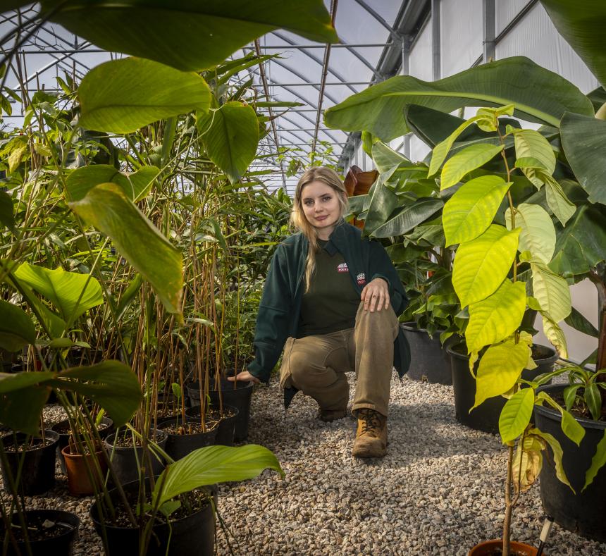 Growing Point plant nursery | Eden Project