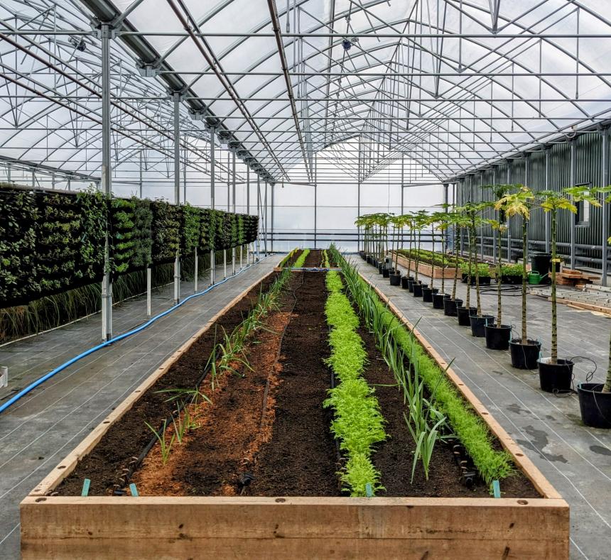 The future of food | Eden Project