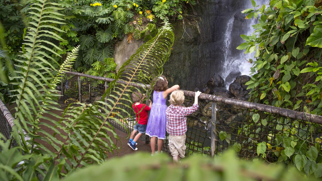Visit us this spring | Eden Project