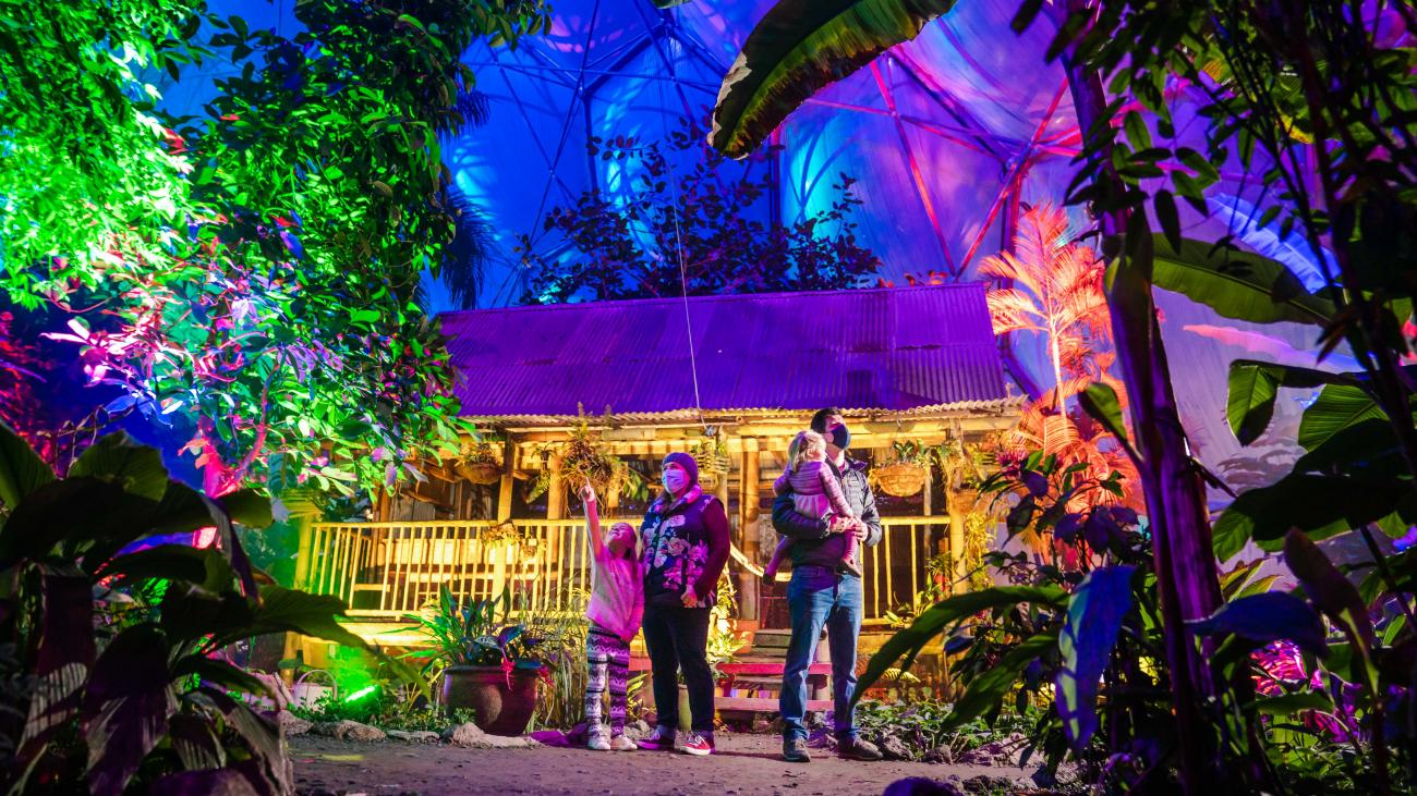 Christmas at the Eden Project | Eden Project