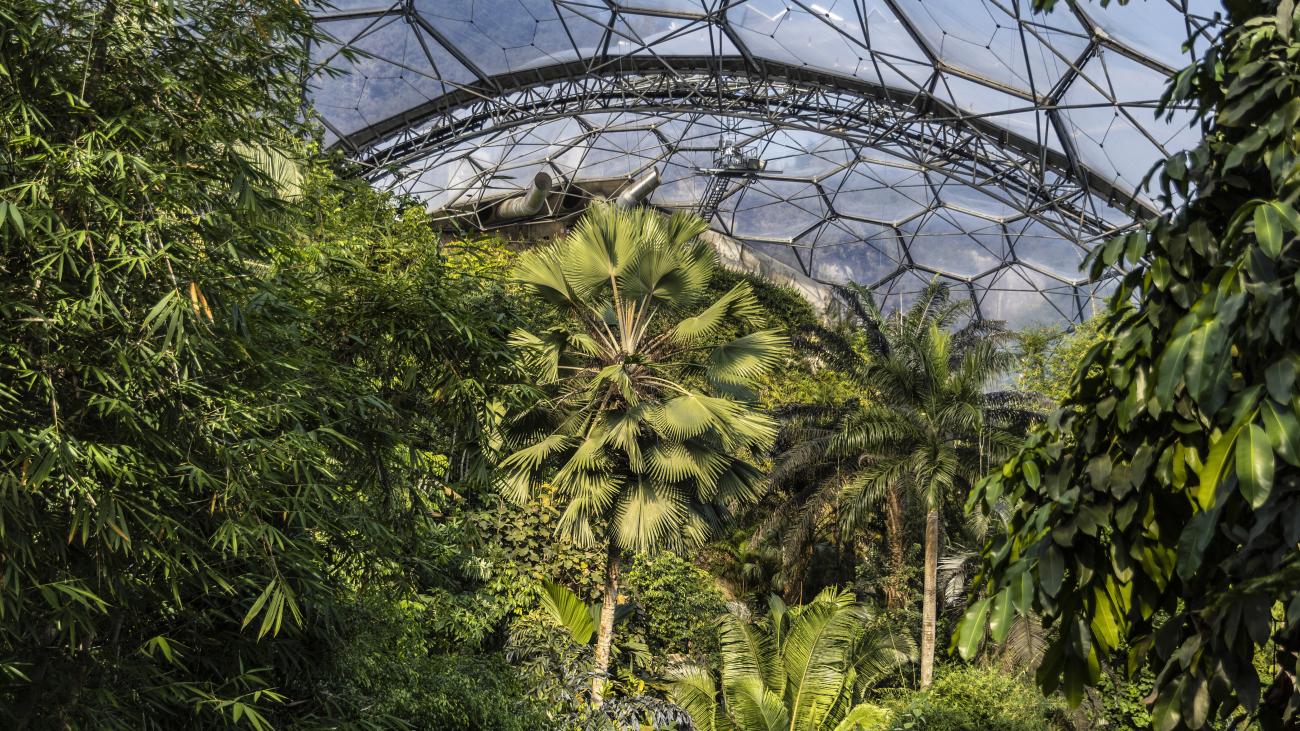 World-class art and horticulture at the Eden Project this summer | Eden ...
