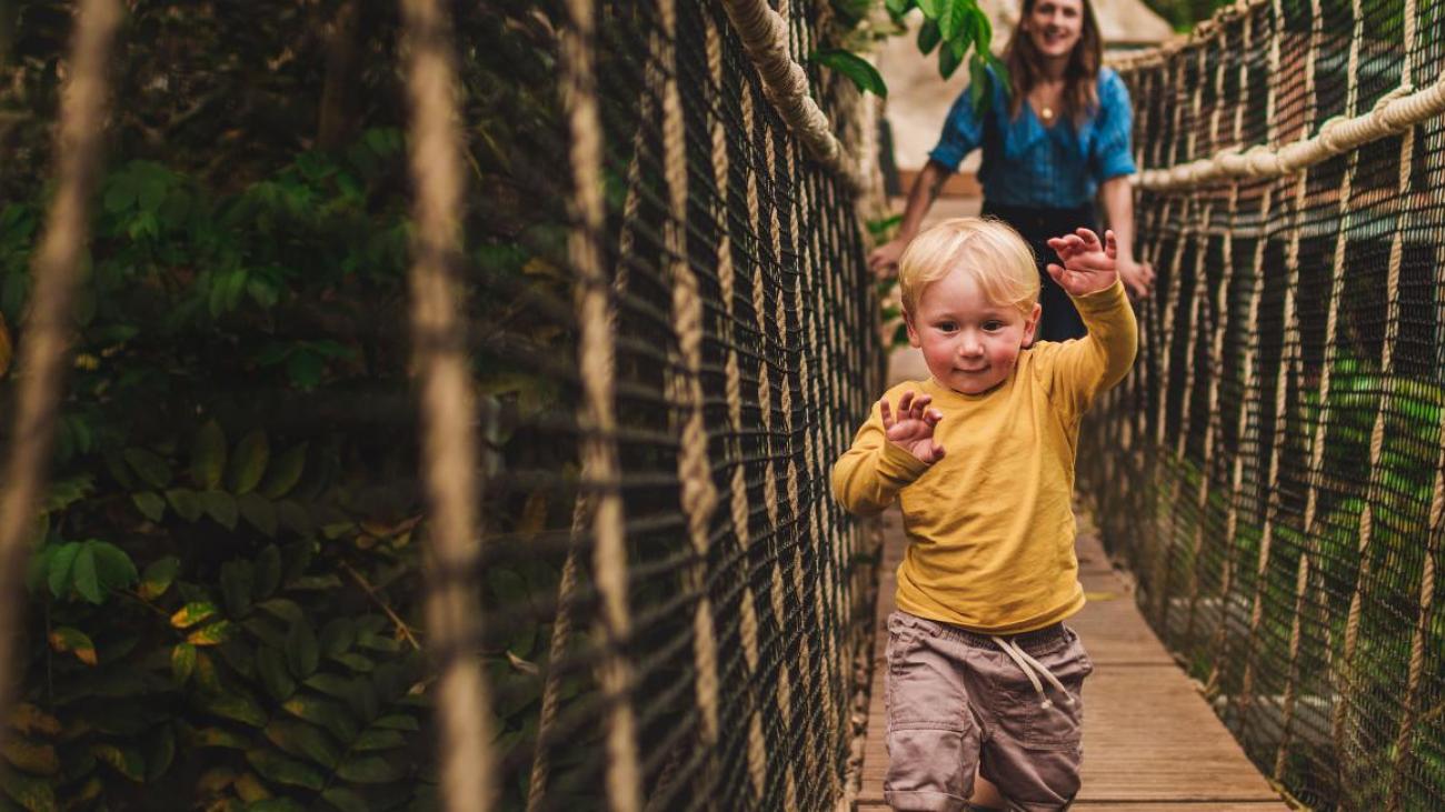 Play spaces for kids | Eden Project