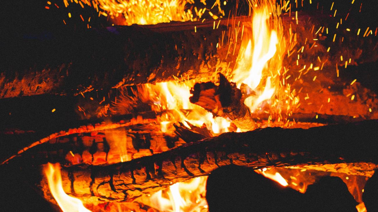 HotHouse: Nature Immersions | Eden Project