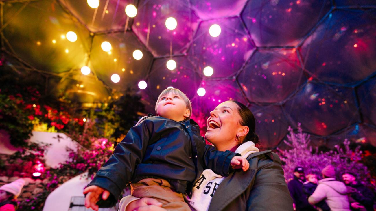 Christmas at the Eden Project | Eden Project