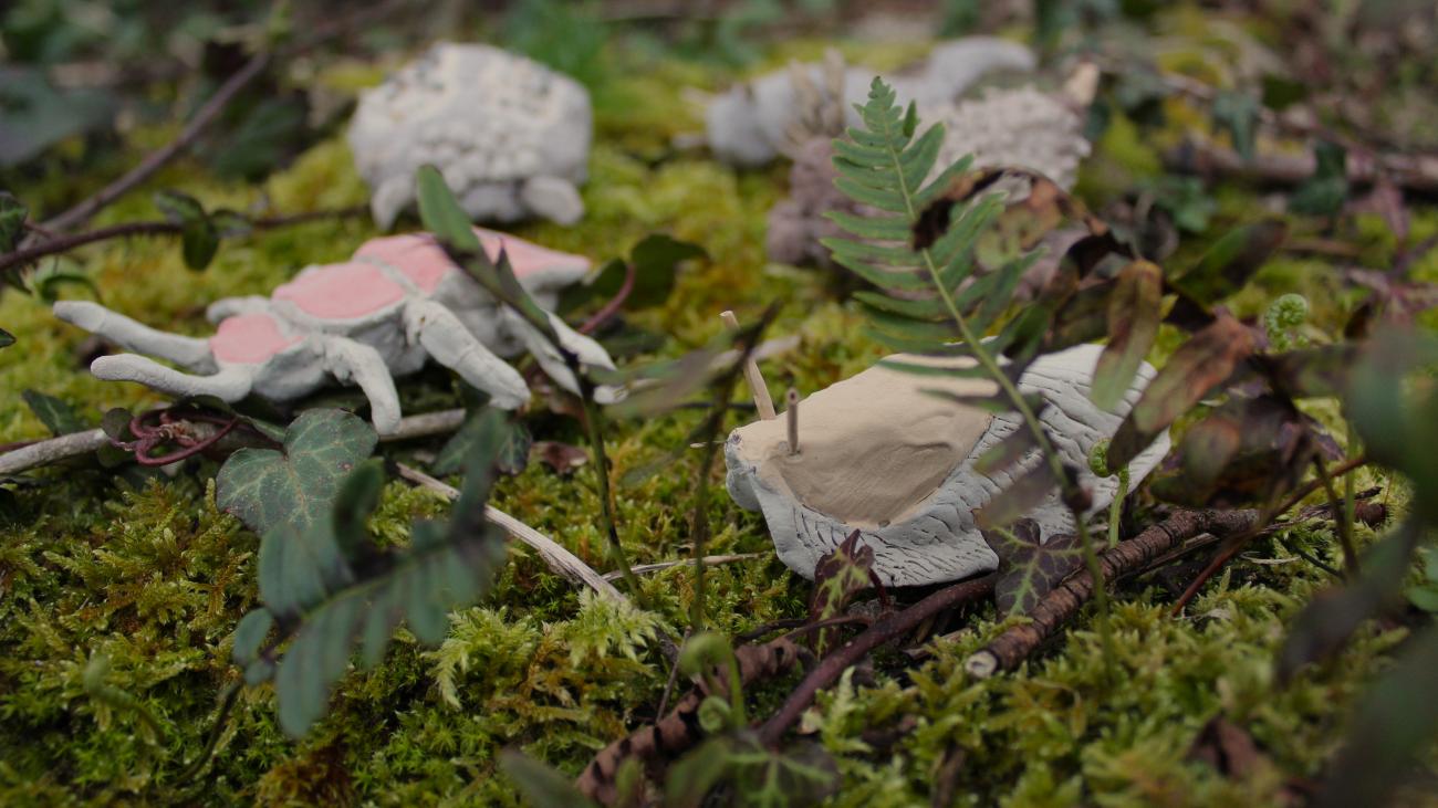 Clay Seed Bomb Workshop | Eden Project