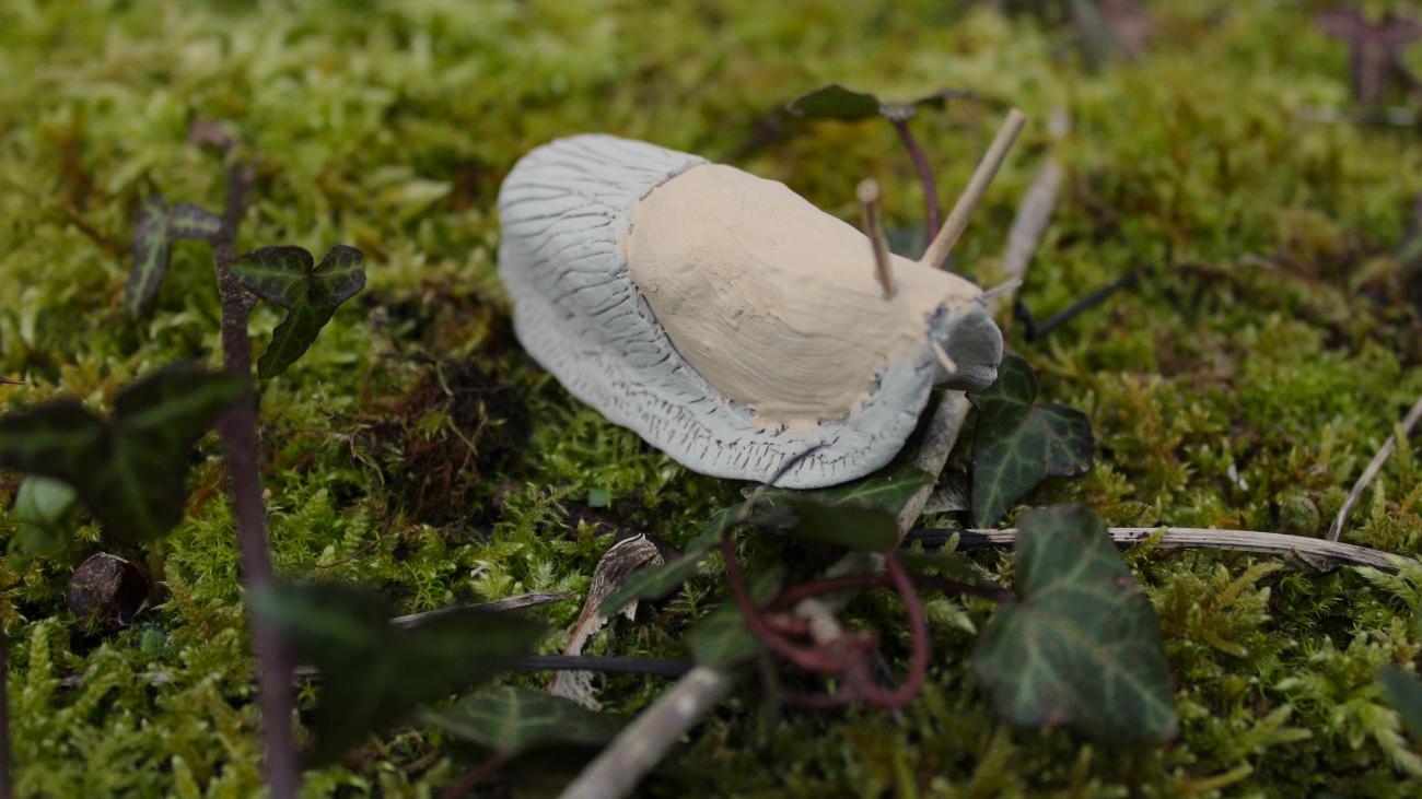 Clay Seed Bomb Workshop | Eden Project