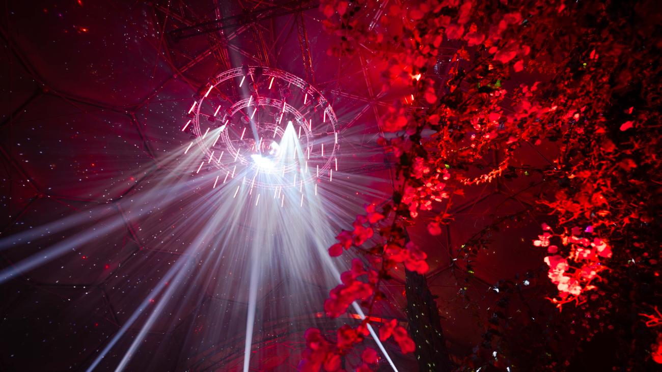 Christmas at the Eden Project | Eden Project