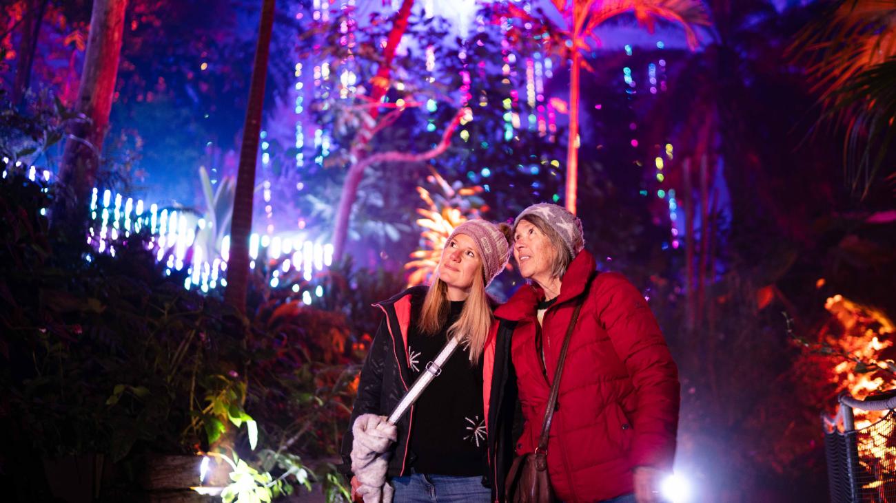 Christmas at the Eden Project | Eden Project