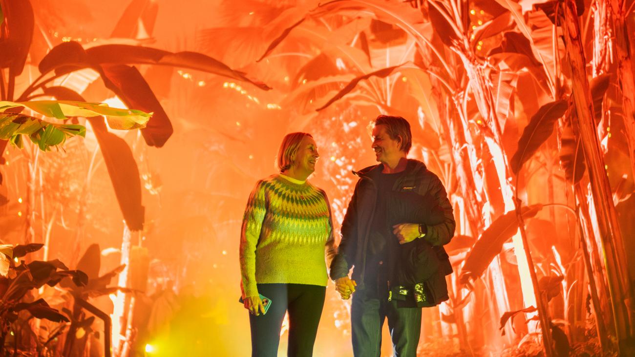 Christmas at the Eden Project | Eden Project
