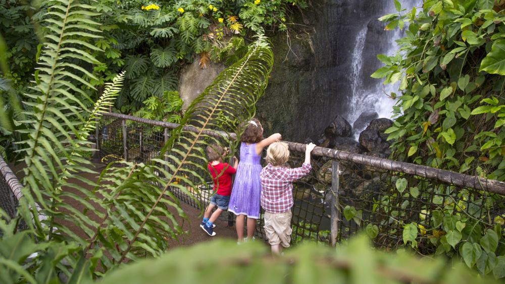 Visit us this spring | Eden Project