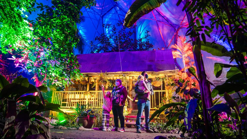 Christmas at the Eden Project | Eden Project
