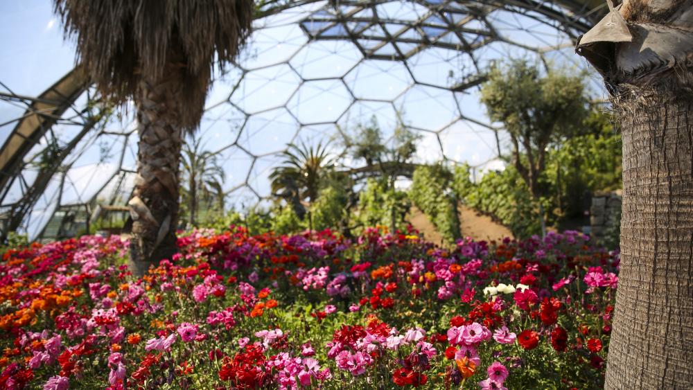 Visit us this spring | Eden Project