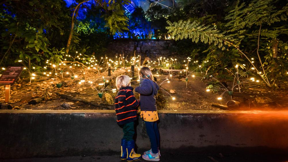 Christmas at the Eden Project | Eden Project