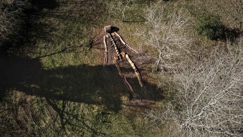 Giant stick sculpture revealed in the Cornish landscape at the Eden ...