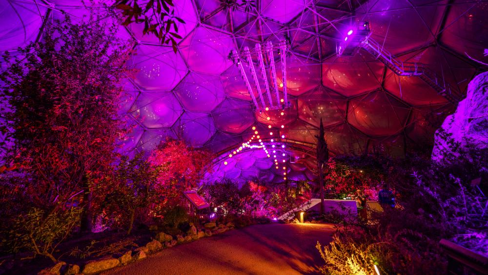 Christmas at the Eden Project | Eden Project