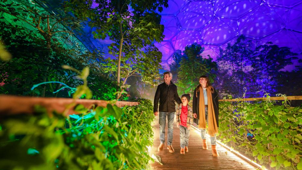 Christmas has arrived at the Eden Project with more lights than ever ...