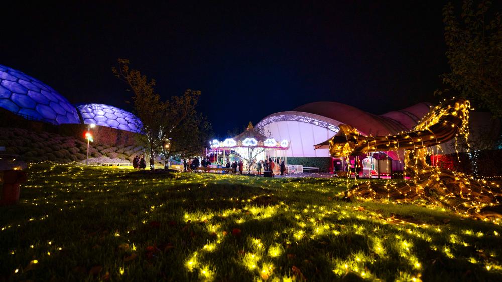 Members & Patrons Christmas Preview Evening | Eden Project