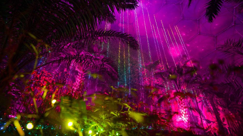 Christmas at the Eden Project | Eden Project