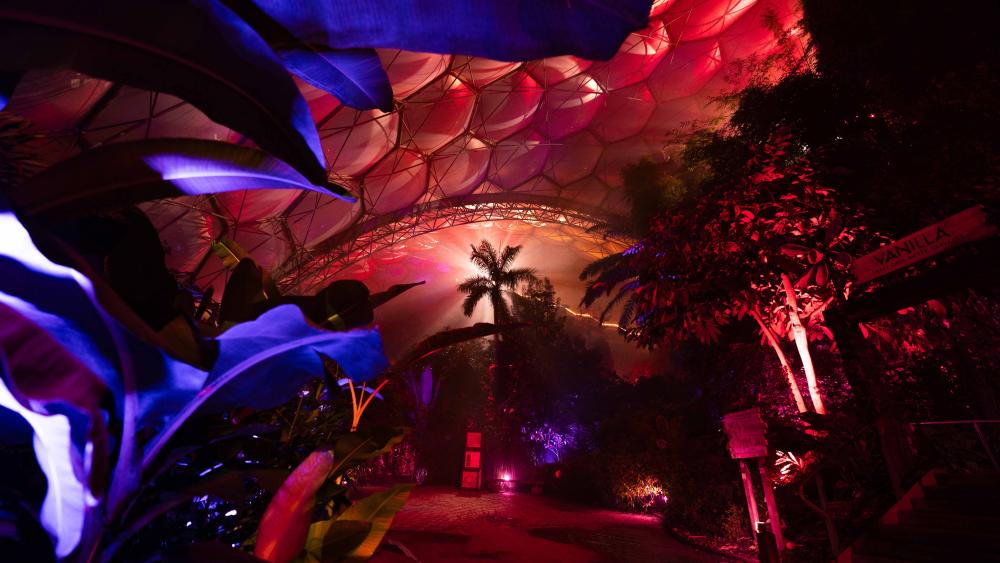 Christmas at the Eden Project | Eden Project