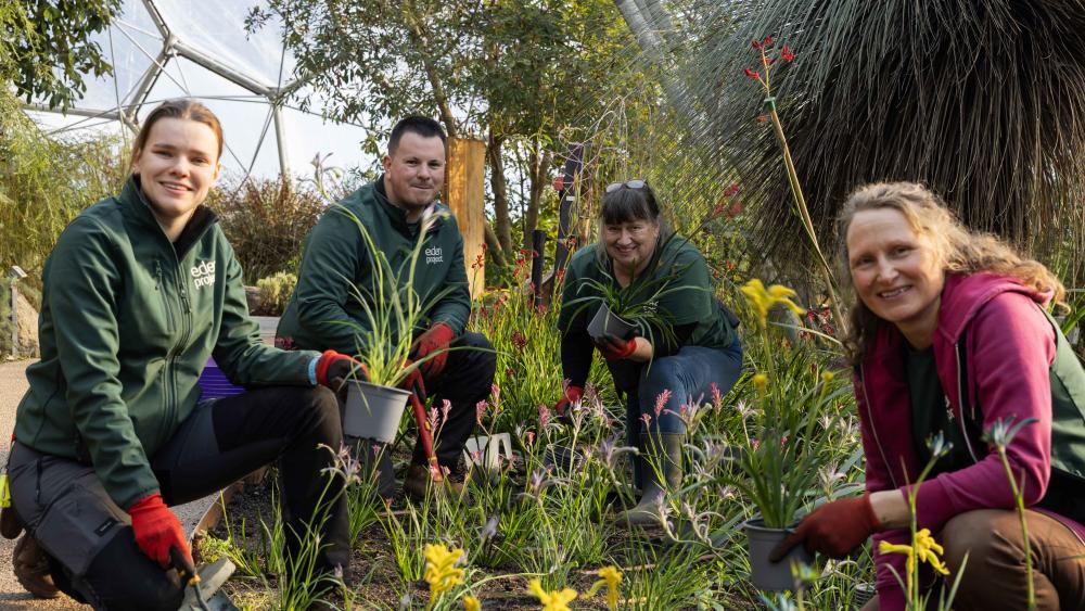 From Western Australia to the Westcountry - UK first for Eden Project ...