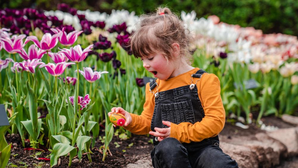 Eden Project celebrates Easter with supersized spring featuring a giant ...