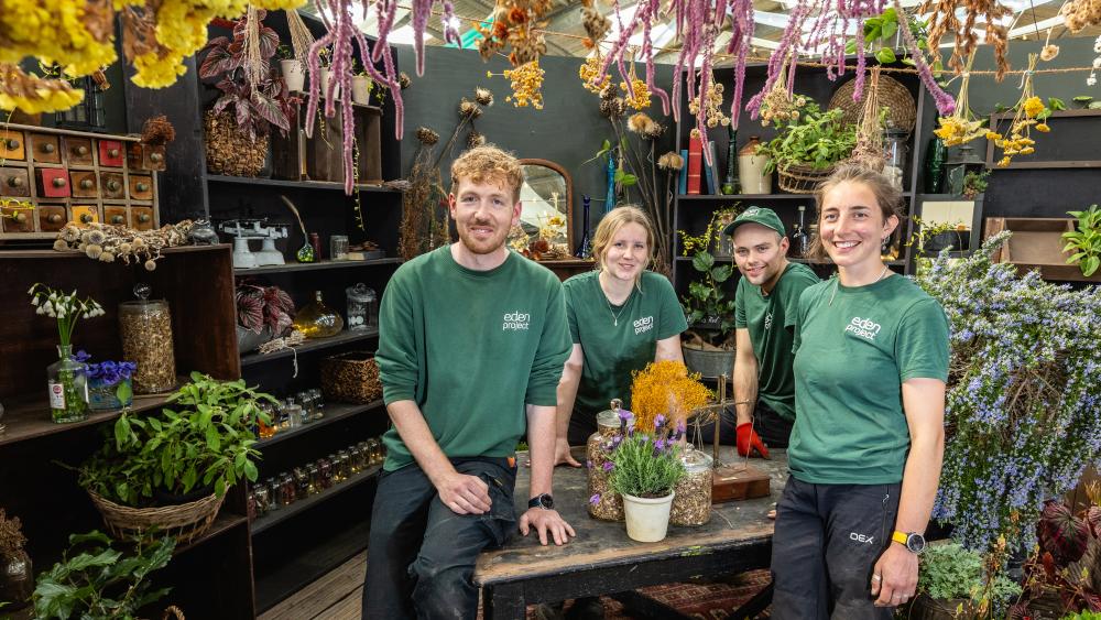 Eden Project gardening talent shines through at ‘Chelsea of the South ...
