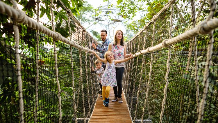 Directions to the Eden Project | Eden Project