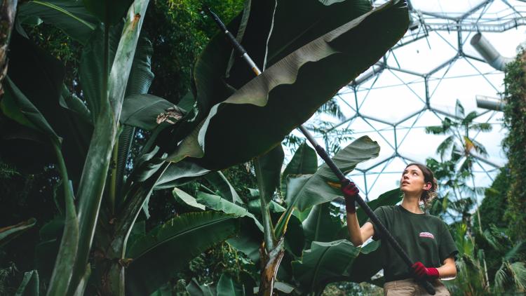 Eden Project's Mission | Eden Project