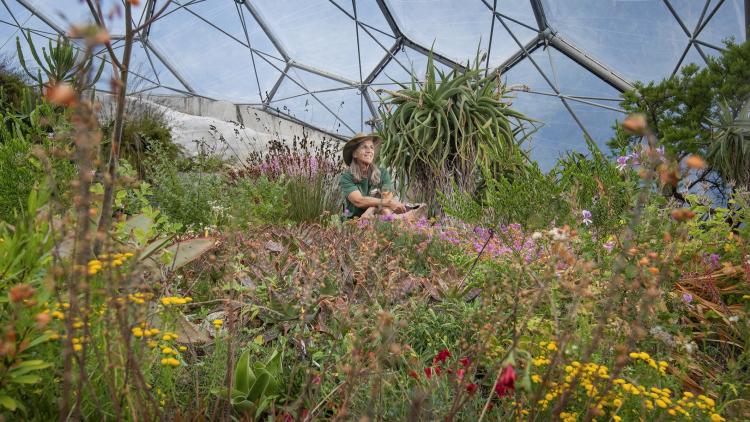 Revamped Eden garden tells the story of South Africa’s amazing plants ...