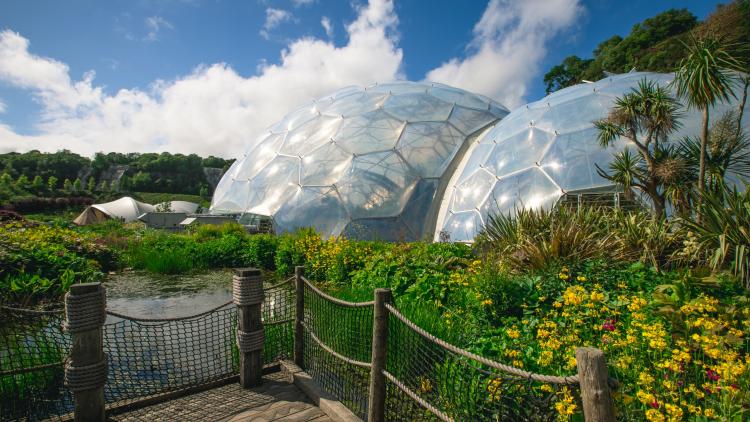 Foresight partners with the Eden Project to boost biodiversity across ...