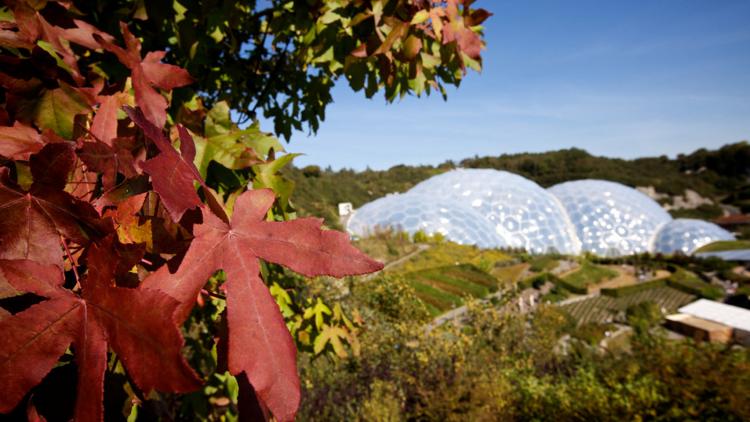 eden project dates