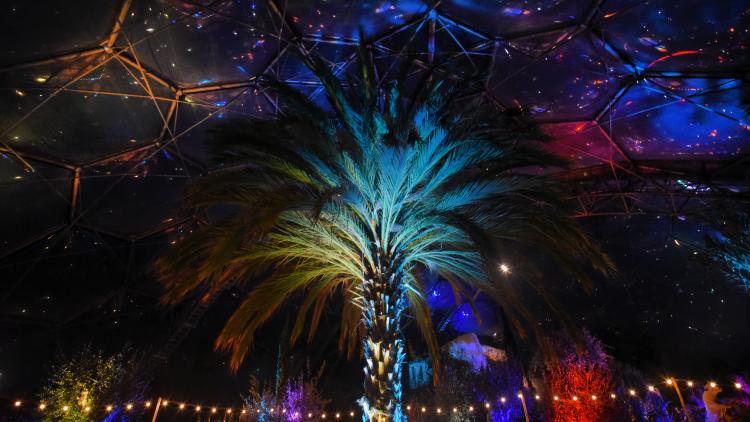 What's on | Eden Project