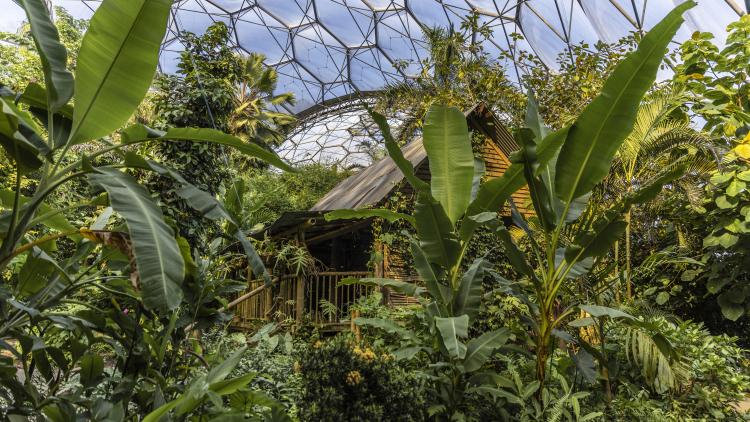 Teaching resources | Eden Project